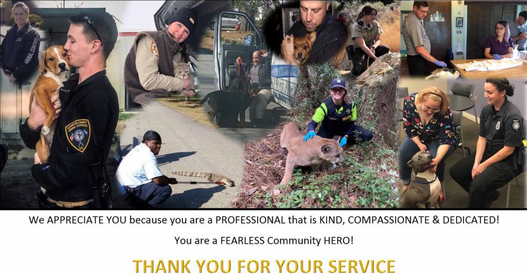 ANIMAL CARE & CONTROL APPRECIATION WEEK - National Animal Care ...