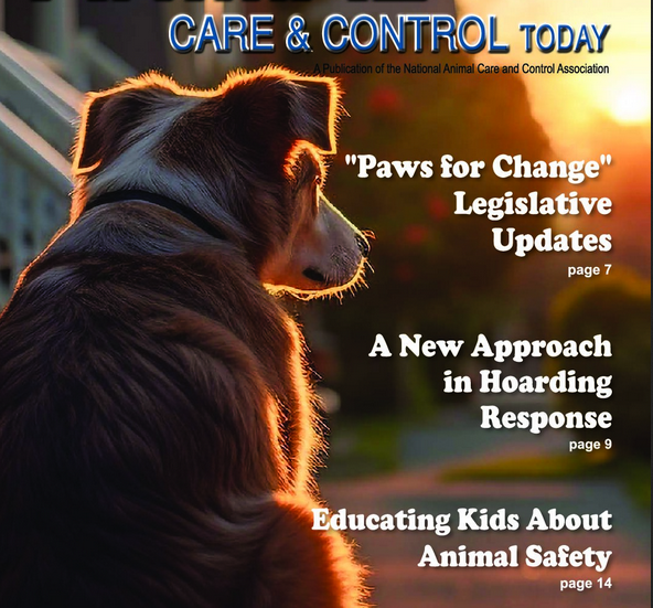 Embracing Change: NACA Magazine Transitions to Biannual Issues ...