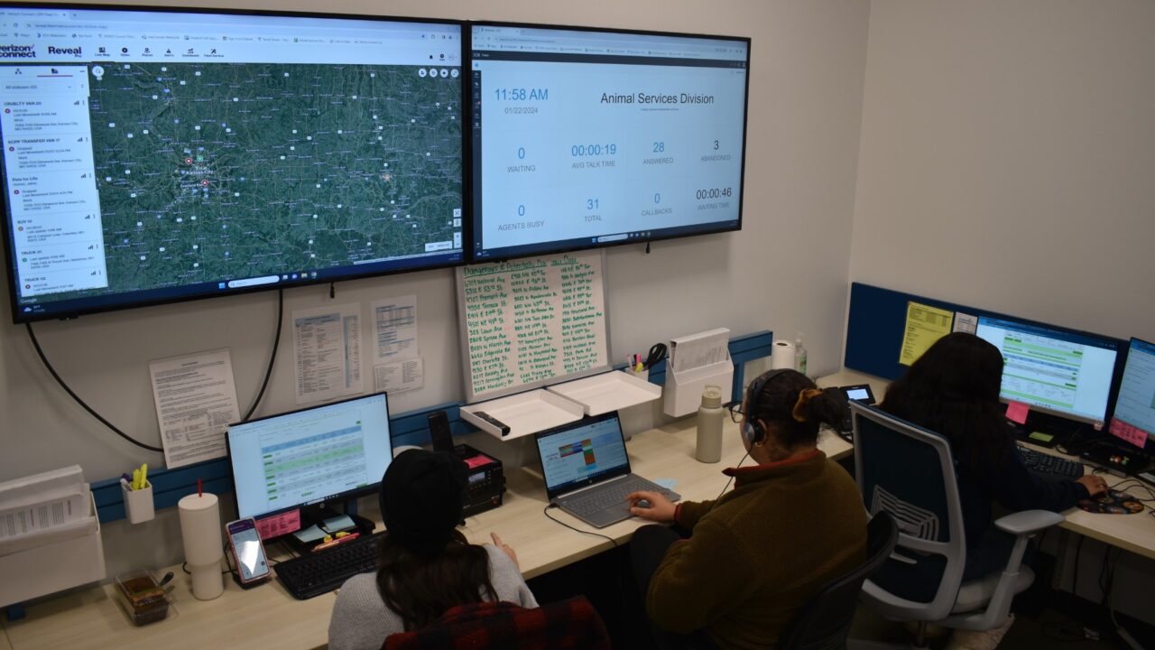 Introducing the groundbreaking Animal Welfare Dispatcher Certification ...