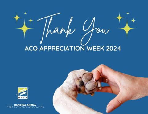 Let the celebration begin! ACO Week - National Animal Care & Control ...