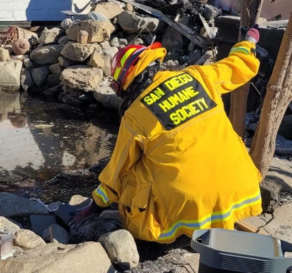 Animal Control Officers Deserve More Than Appreciation—They Deserve ...