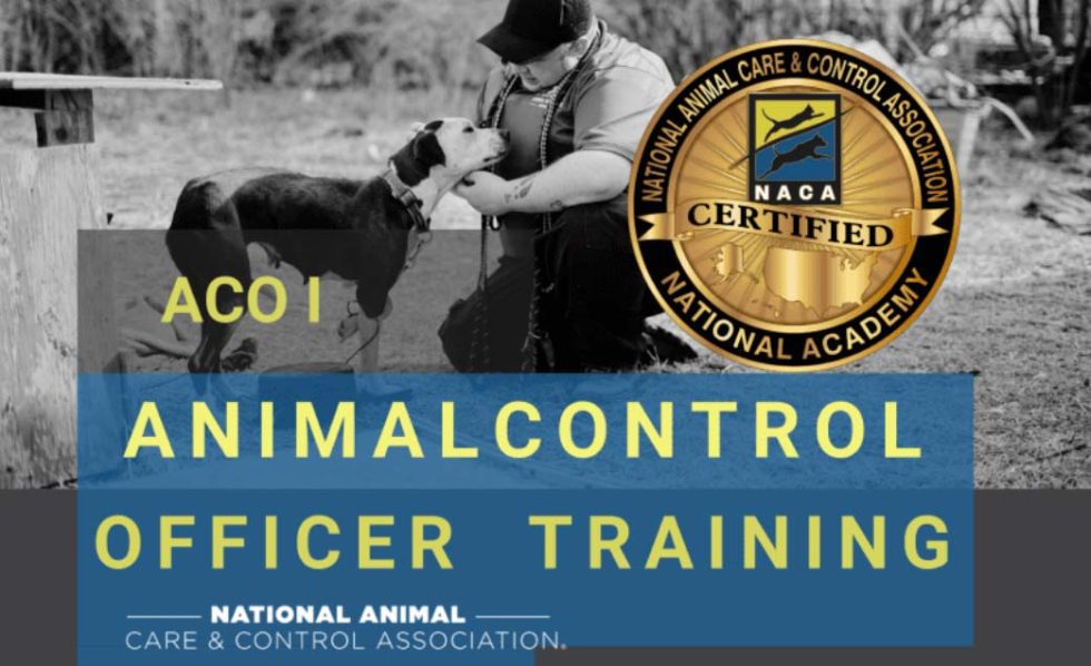 Celebrating A New Chapter for In-Person NACA ACO I Training - National Animal Care & Control ...